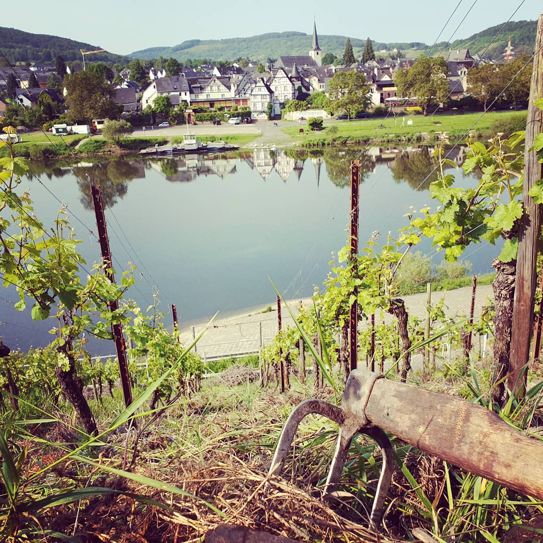 Markus Busch | Moselbild - Fotos rund um Mosel, Hunsrück und Eifel